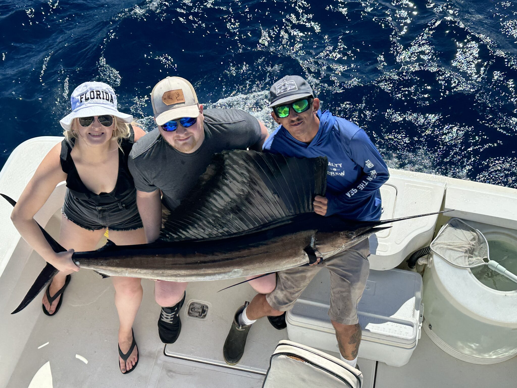 Blog Sailfish season has started early – Lady Helen Fishing Charters